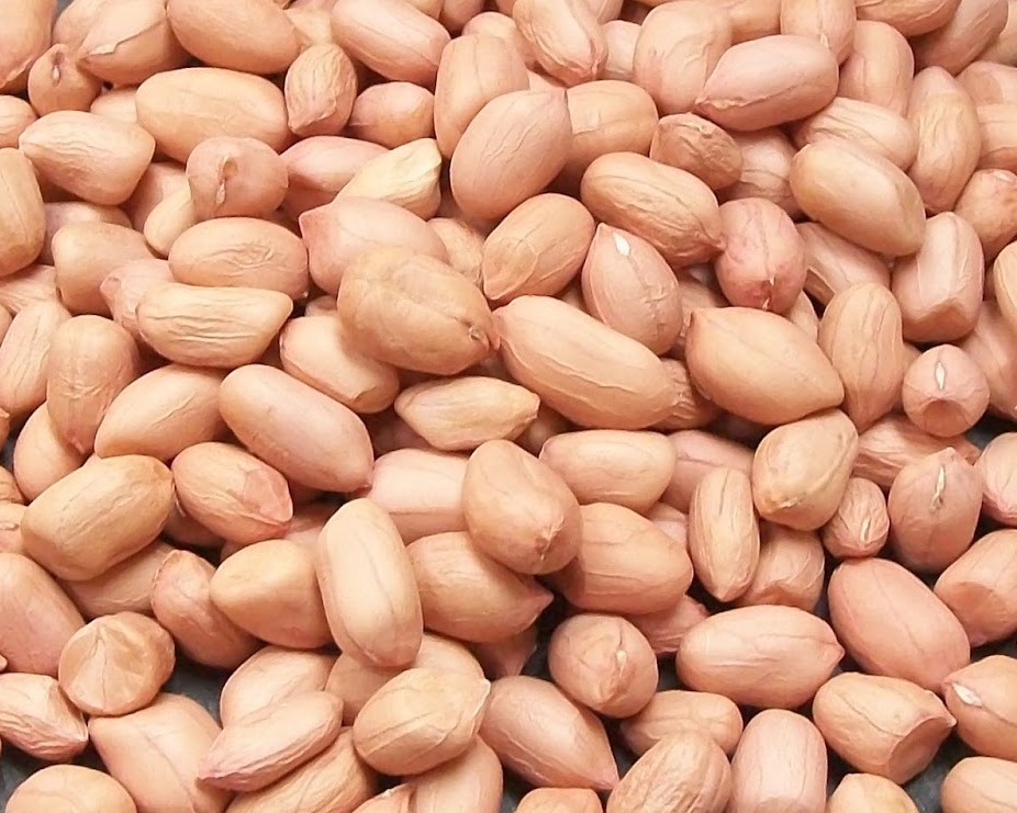 Khasiat Kacang Tanah - Citrarasa