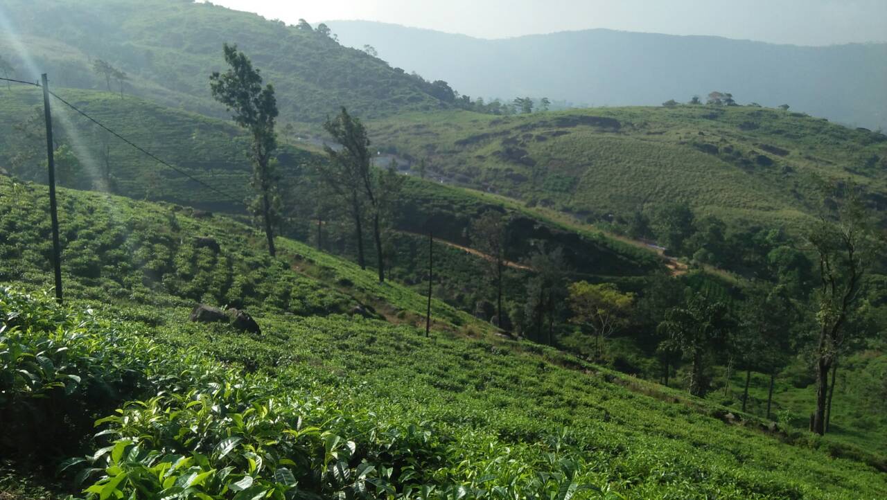 Patna View Point Deniyaya- Burusgala