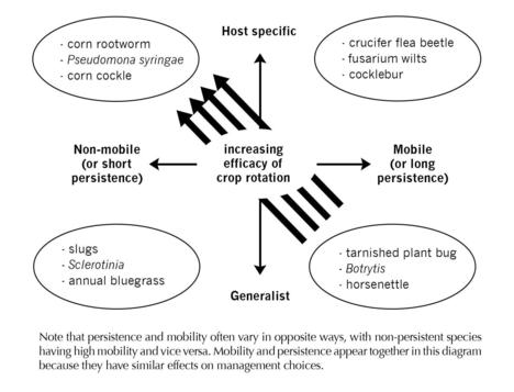 Crop Rotation : Benefits in Pests Control