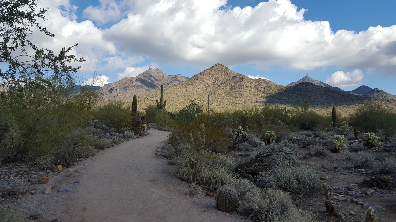 Helgeson's Hikes: Bajada Nature Trail @ McDowell Sonoran Desert in ...