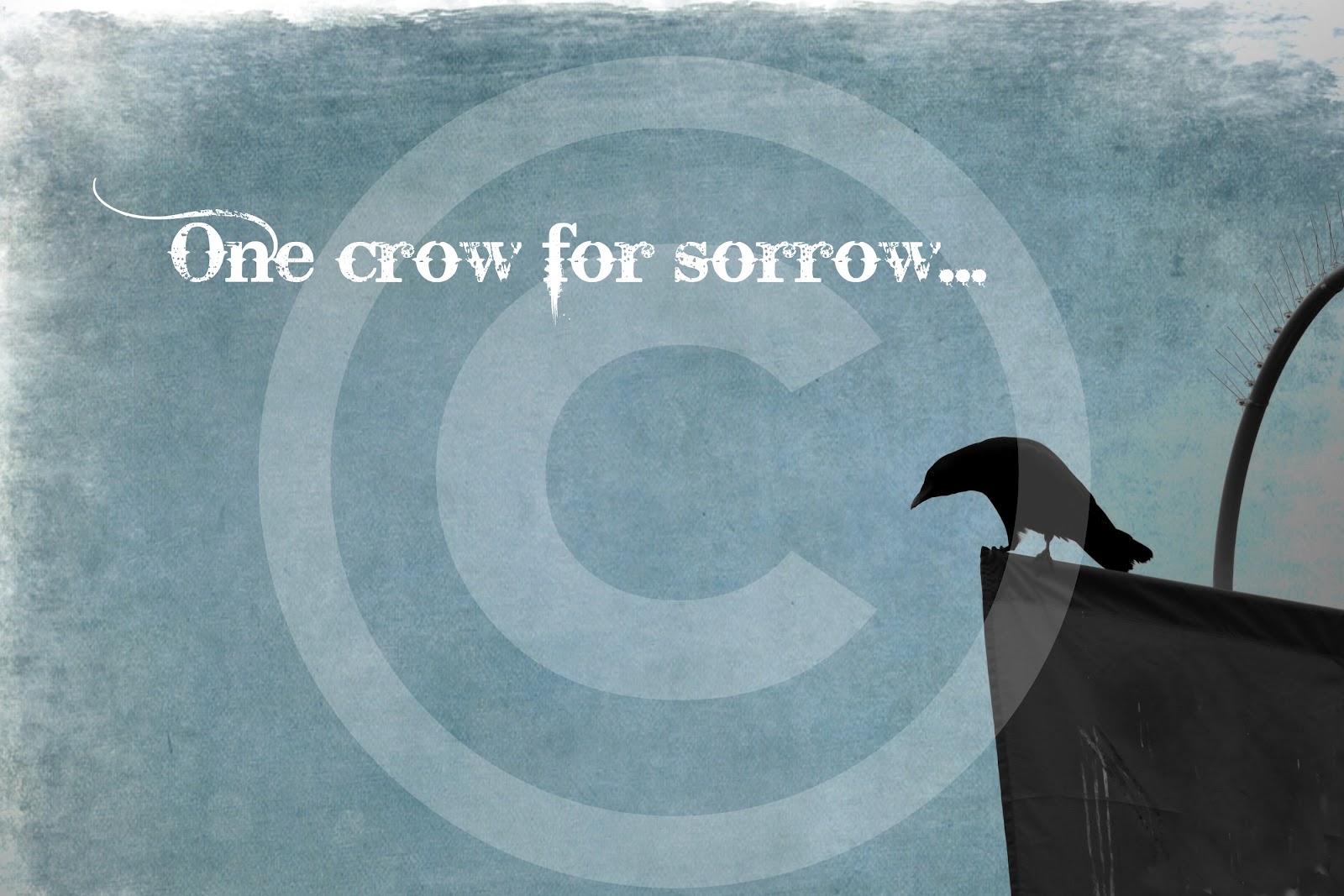 Tattered Edge: 02/01/2012 - 03/01/2012