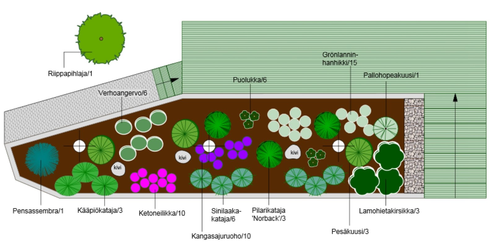 Temppula: Istutus juttuja etupihalle