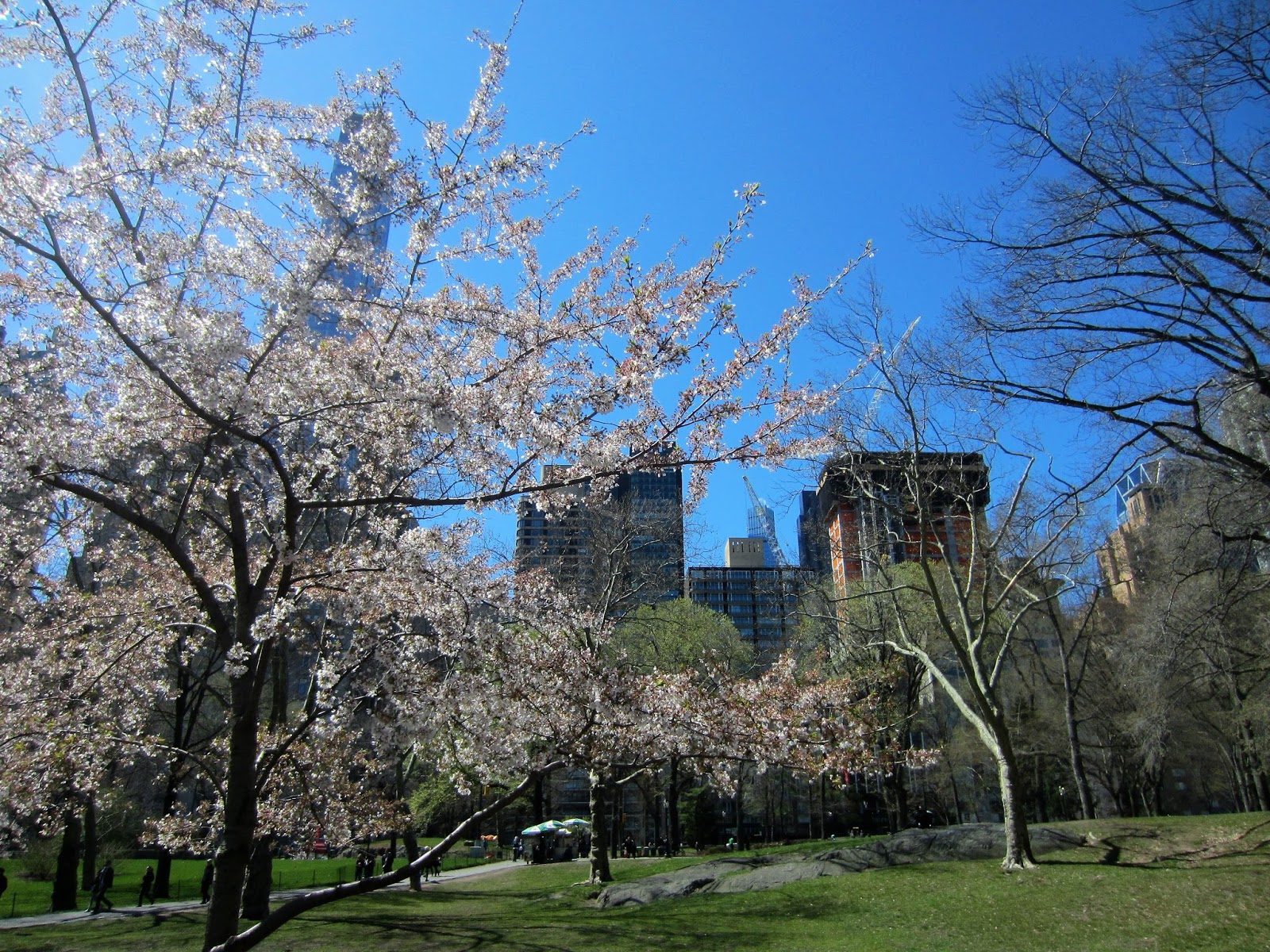 Souvenir Chronicles: NEW YORK CITY; CENTRAL PARK
