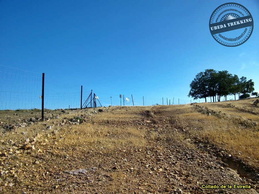 ÚBEDATREKKING : RUTA 075 - (OT) - MIRANDA DEL REY, PICO ESTRELLA ...