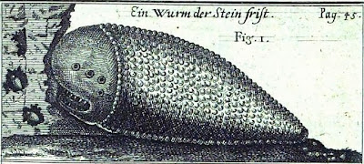 DIALOGO ENTRE MASONES: El Shamir, El Pectoral del Sumo Sacerdote y el ...