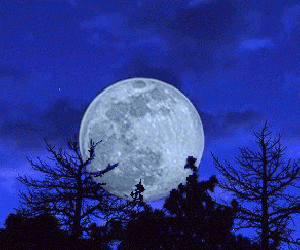 LINTANG KUKUS: Memahami Fenomena Bulan Biru (Blue Moon)