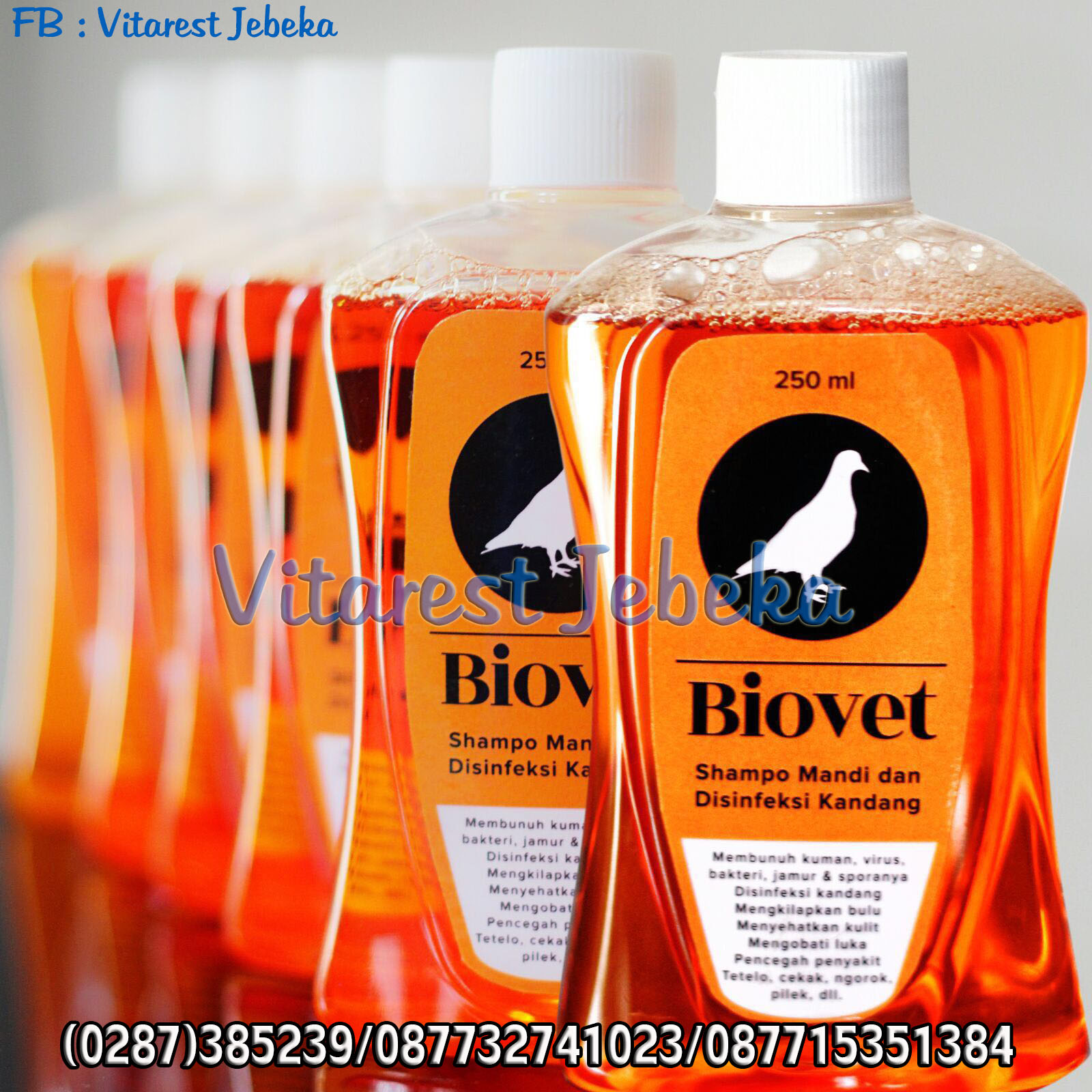 Vitarest Jebeka Indonesia