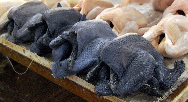 2016 ~ Kadaknath chicken