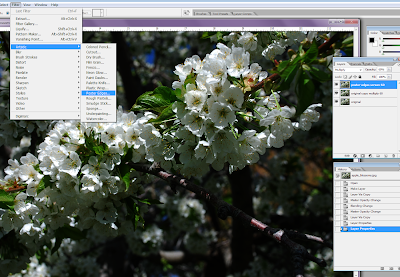 Photographing Flowers: Flower Edge Effects in Photoshop