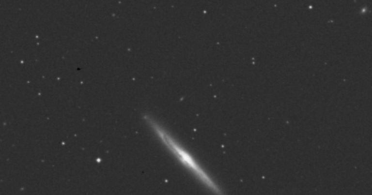 lumpy darkness: one of each (Blue Mountains)