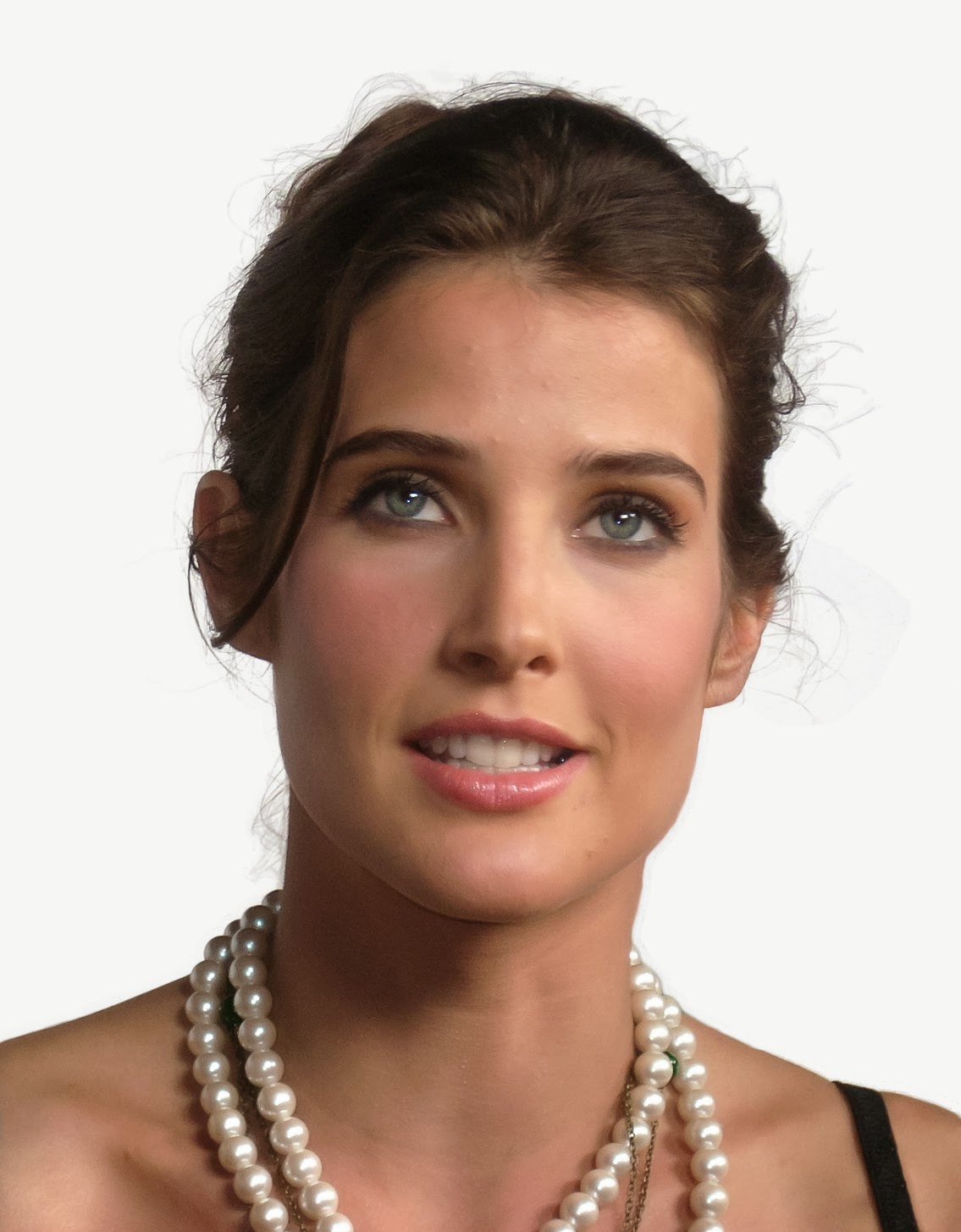 Super star life style photo gallary : Jacoba Francisca Maria Cobie Smulders