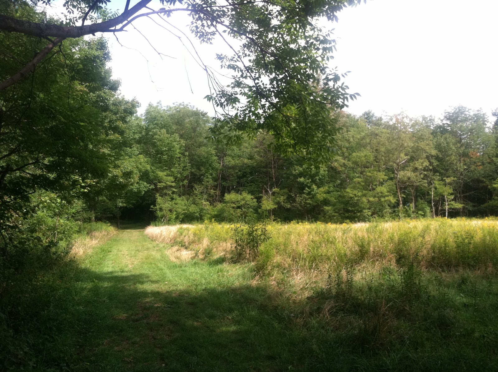 Snow and Jaggers: McCune Trail, Ohiopyle State Park