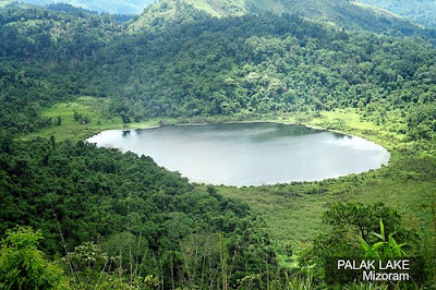 Discover Newer Horizons: 2013