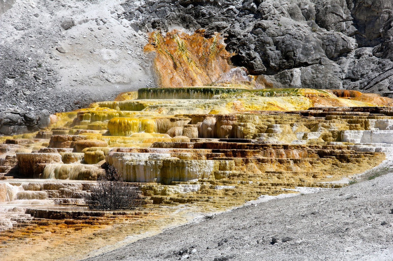 Where in the World RV?: Marveling at Yellowstone National Park, WY