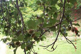Il Castello del Sole: Natura da visitare