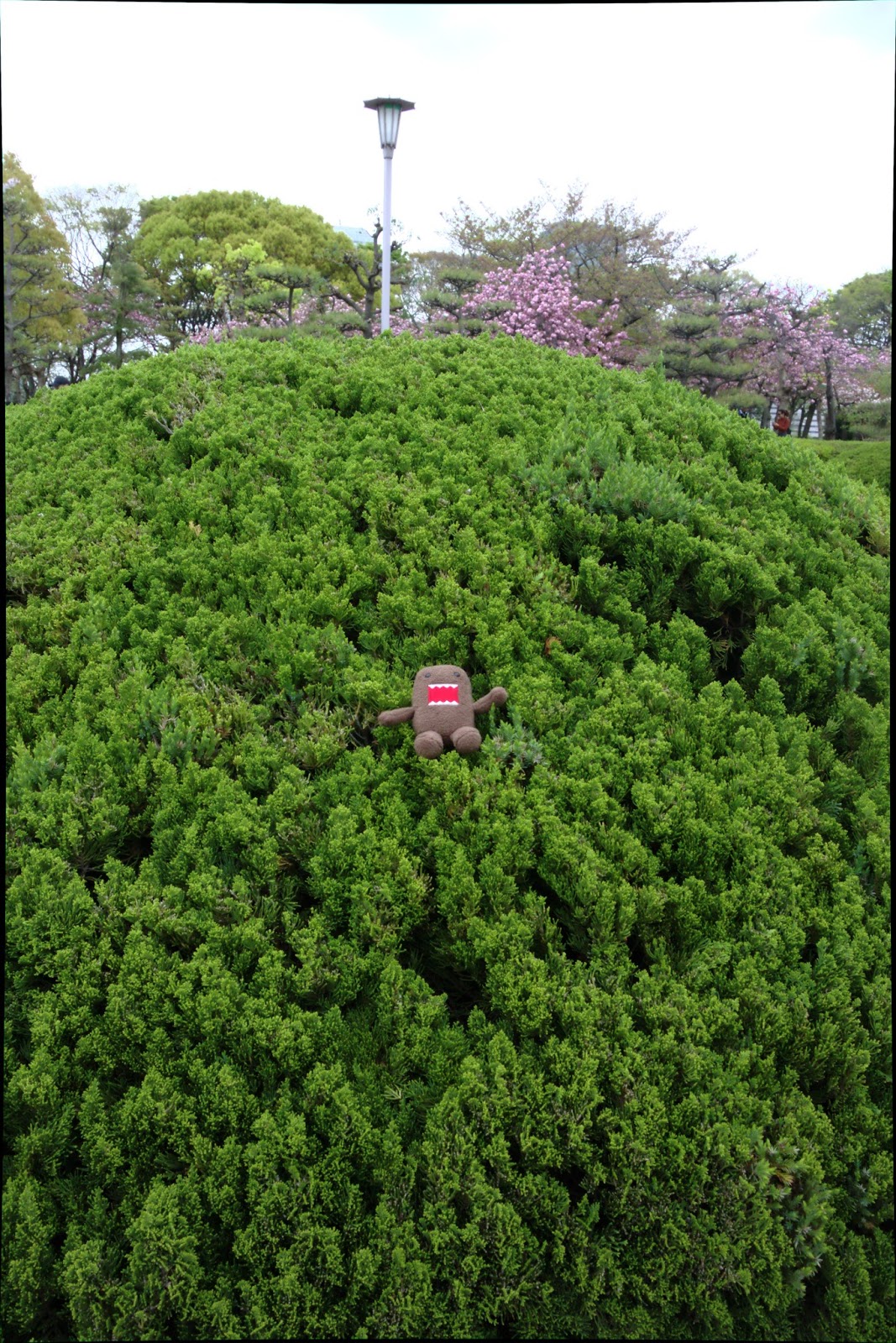 Domo World Japan Tour: Osakan linna