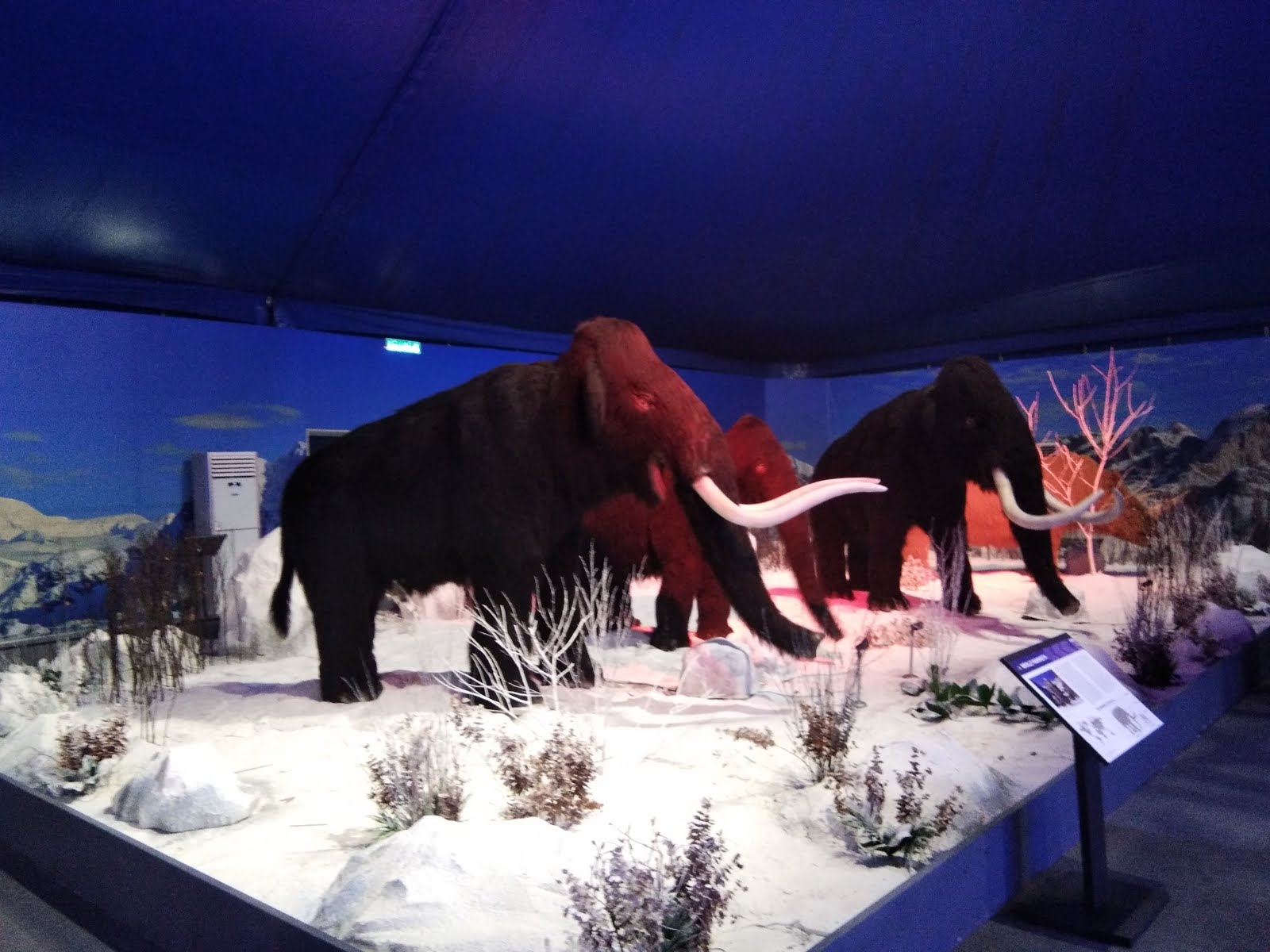 育儿 | Ice Age Alive @ Matic KL 又冷又热的一天 - Angel(Poi Woon)の健康|理财~ 分享博客