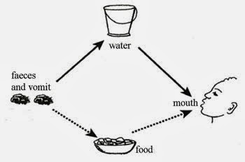 Cholera & Dysentery: CHOLERA (TAUN)