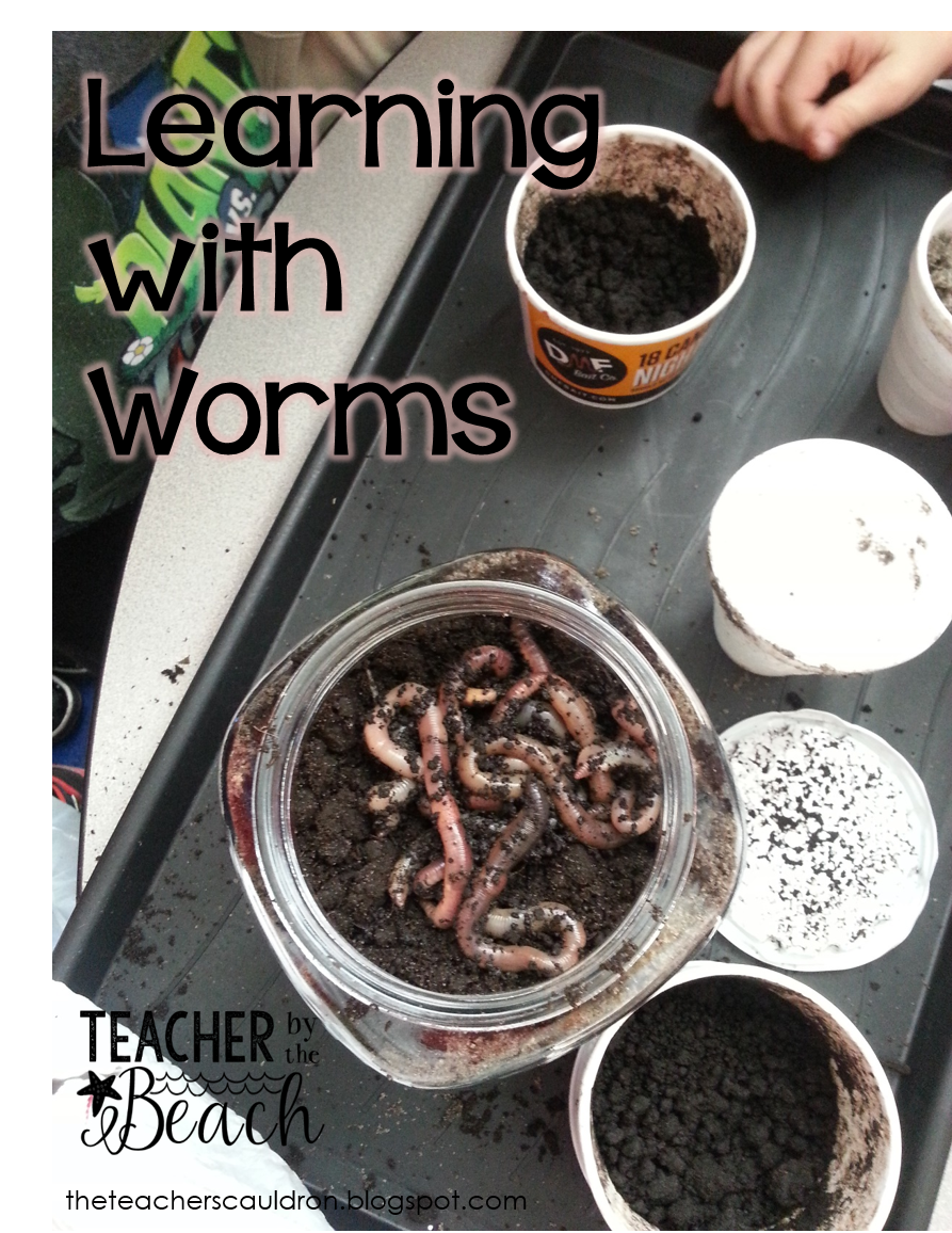 All About Worms! | The Teacher's Cauldron | Bloglovin’