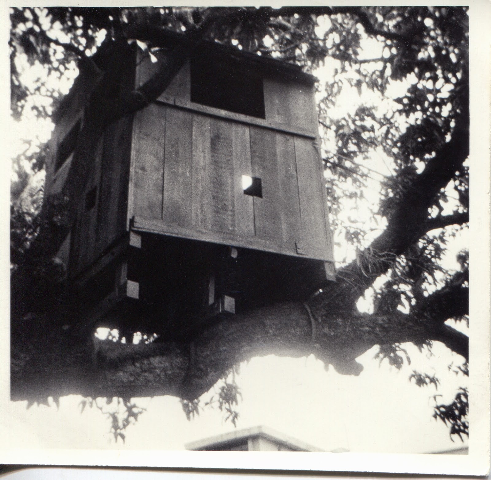 INDIAN INFLUENCES Tree House Calcutta 1966 INDIAN INFLUENCES Tree House Calcutta 1966
