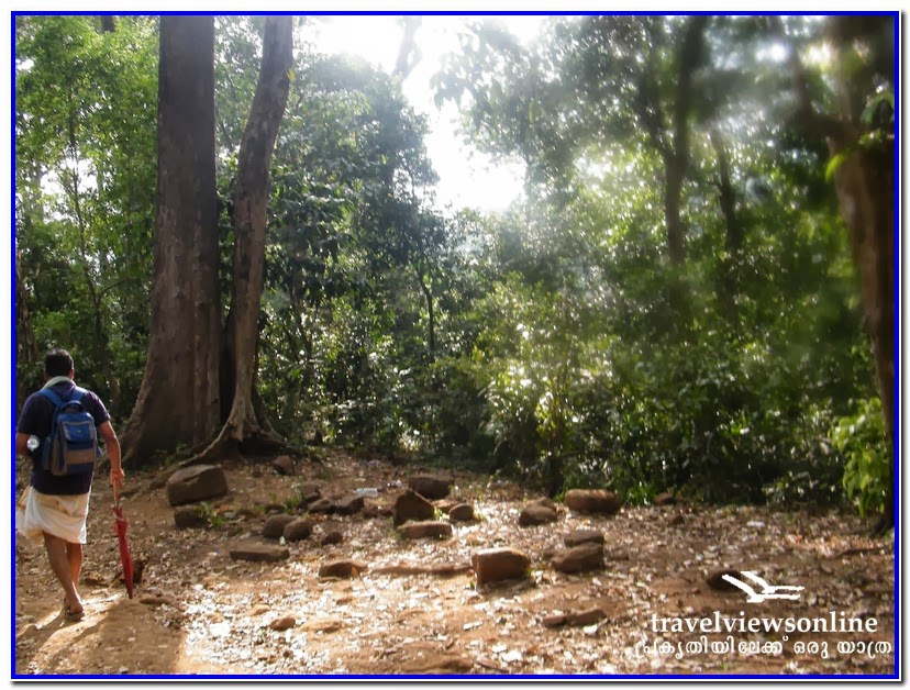 പ്രകൃതിയിലേക്ക് ഒരു യാത്ര (a travel towards NATURE): PULLUMEDU a unique ...
