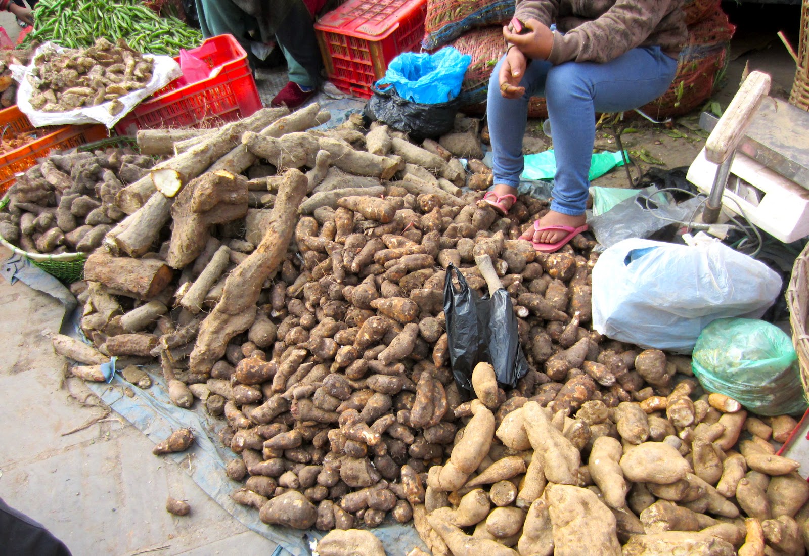Taste of Nepal: Karkalo-Gaava-Pidhaalu - Taro (कर्कलो-गाभा-पिँडालु)