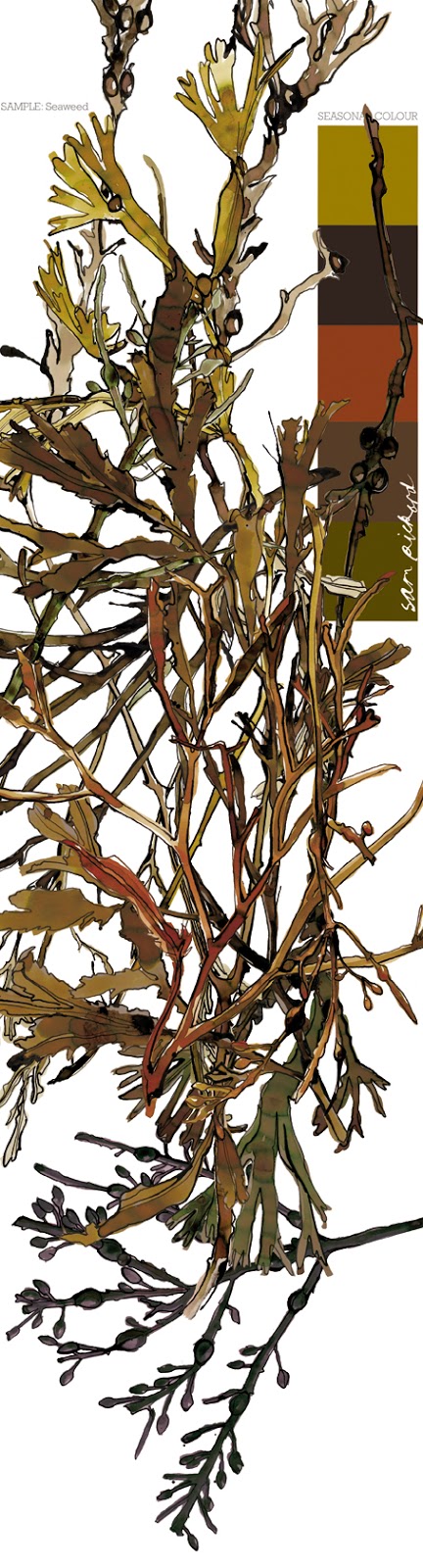 Planet Sam: Colour from the season - Seaweed green