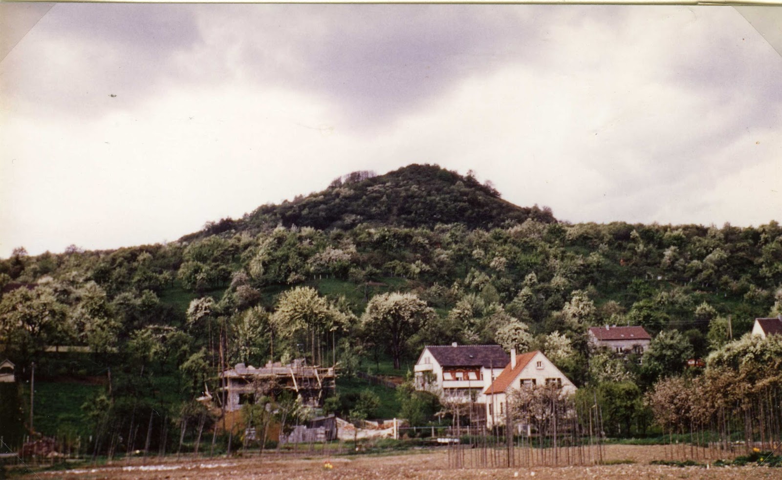 Pfullingen: Der Georgenberg in den 50er Jahren
