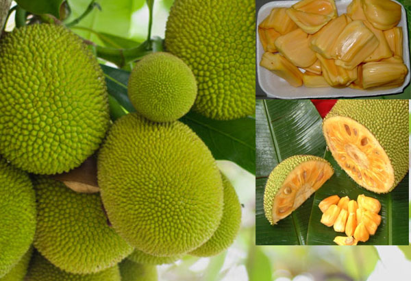 Safari Bookings Uganda and Rwanda: Popular Fresh fruits in Uganda.