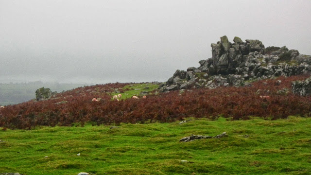 My Dartmoor Walks: Tuesday 22nd October White Tor