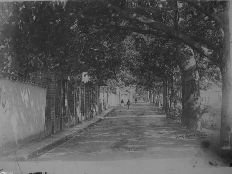 Los Grandes Fotografos: Melitón Rodríguez (1875-1942)