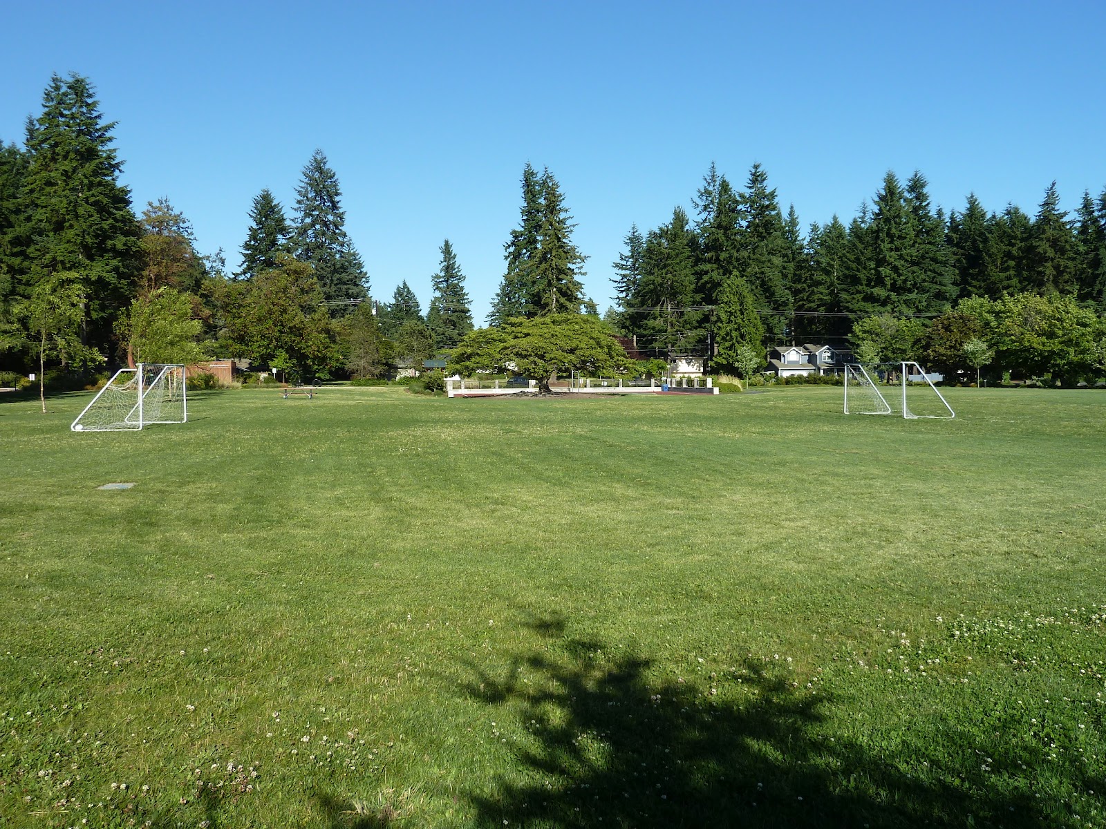NW Artist: Learning About Life, Art & Spirituality: Hickman Park ...