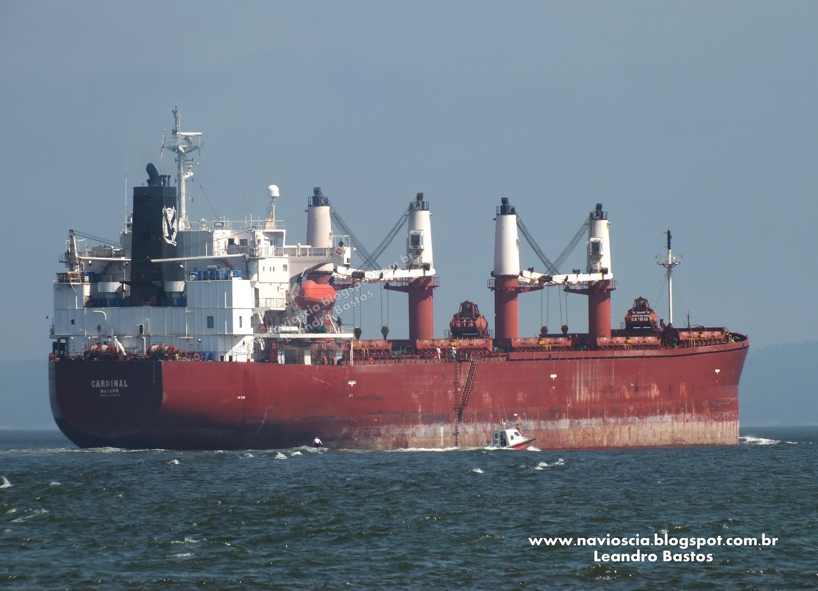 Navios de Santos & CIA: Navio CARDINAL