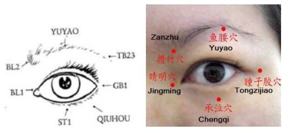 Ho Modesty Consultancy - Acupuncture and Chinese herbs : Acupressure ...