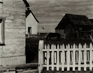Tocho T8: PAUL STRAND (1890-1976): CIUDADES Y SOMBRAS
