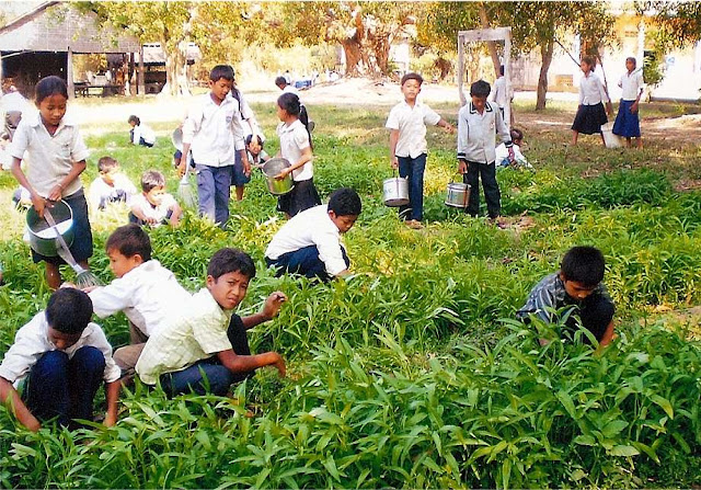 Mambulaoans WorldWide Buzz: EXTRA: The importance of gulayan sa paaralan