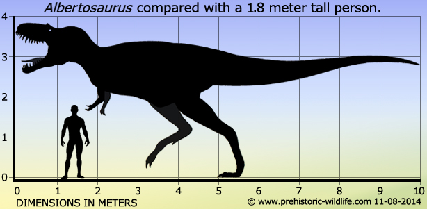 The Expeditioner's Discovery Guild: A little bit of Everything: Paleo ...