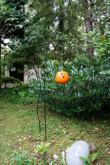 Floating Pumpkin Hanger Kits - Suspend REAL Pumpkins Anywhere: Photos Page