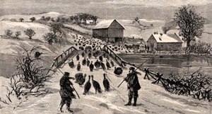 Researching Food History : Turkeys on the Norfolk Coach to London...or ...