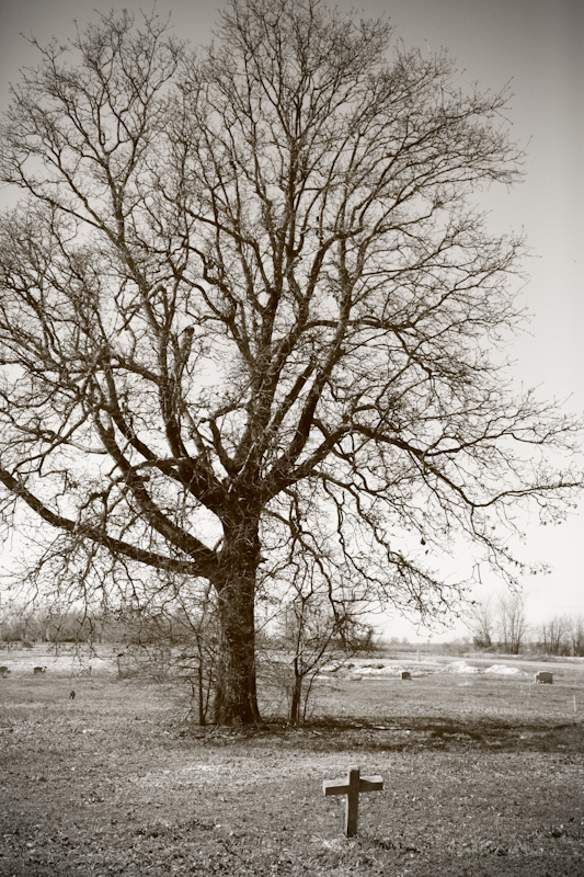 Southern Faces, Southern Places: Tallahatchie Flats