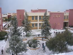 SESS, Syndicat des Enseignants du Supérieur Solidaires.(SESS - DZ ...