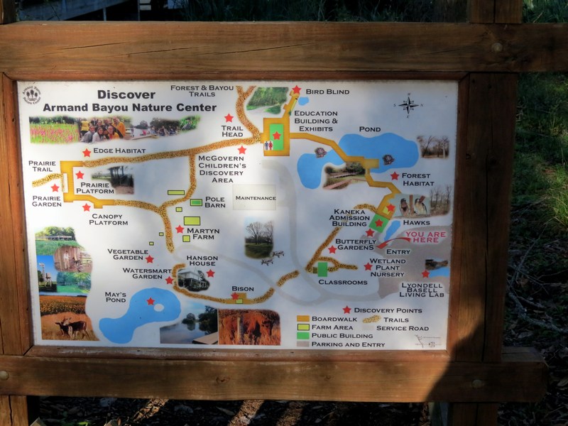 Texas Nature: Armand Bayou Nature Center Part 1