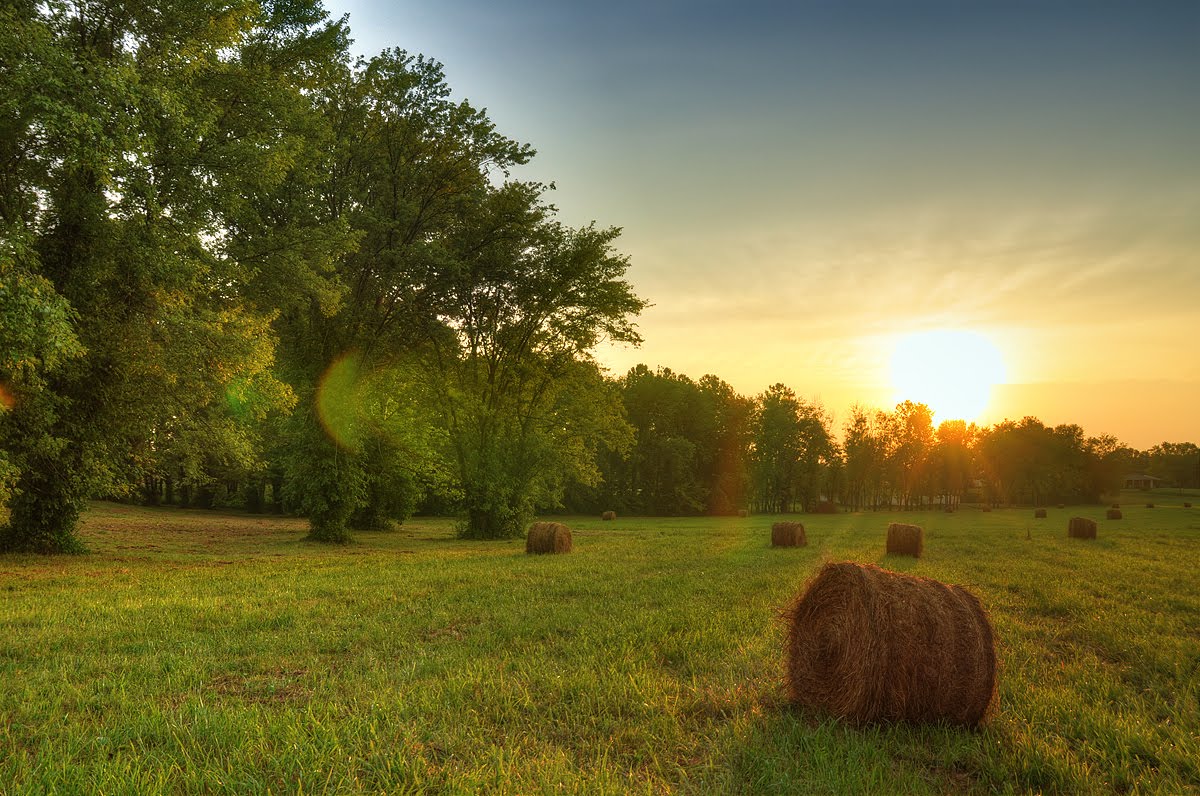 Photographs & Memories: Hay Field at Sunset