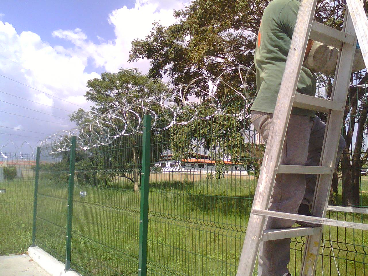 Concertinas: Concertinas