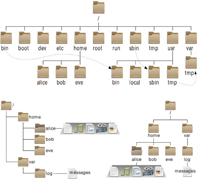 Fundamentals of Network | Server | Storage : Linux user, file and directory