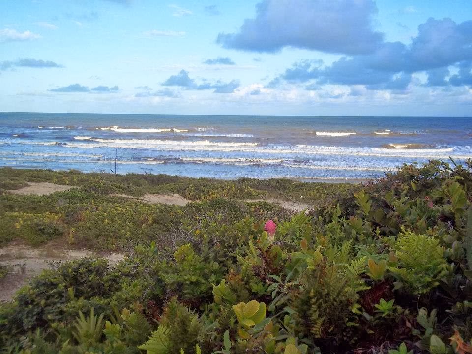 Lugares para Conhecer: Ilha Comprida - SP: Pedrinhas e dunas do Juruvauva