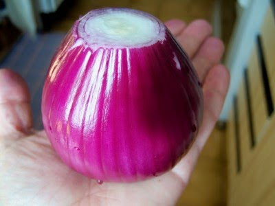 L'aiuola odorosa: Innamorarsi di una cipolla, si può!