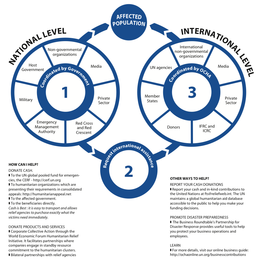 Health Aspects of Disaster: Disaster Management: The Cluster System ...