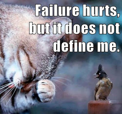 Growth Mindset & Feedback Cats: Fall 2015 Update: Week 6 and Week 7 ...