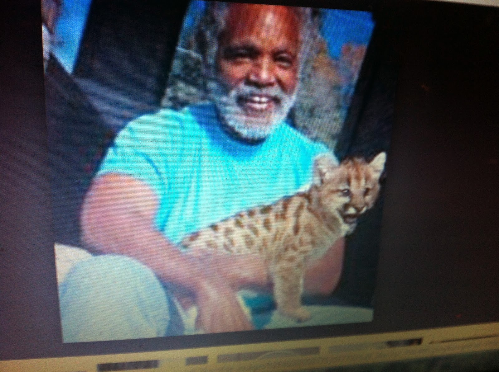 THE BLACK SOCIAL HISTORY:: BLACK SOCIAL HISTORY : AFRICAN AMERICAN ...